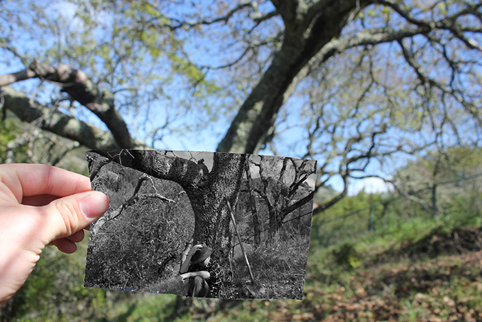 In Search of Lost Time | thephotodept